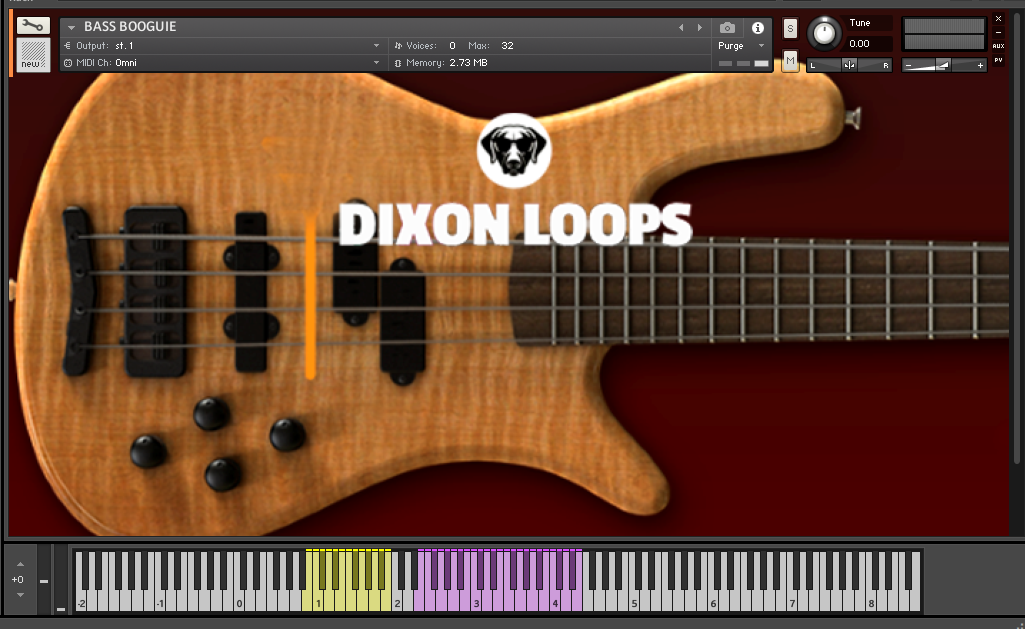 Bass Boogie - Kontakt - dixonloops.com